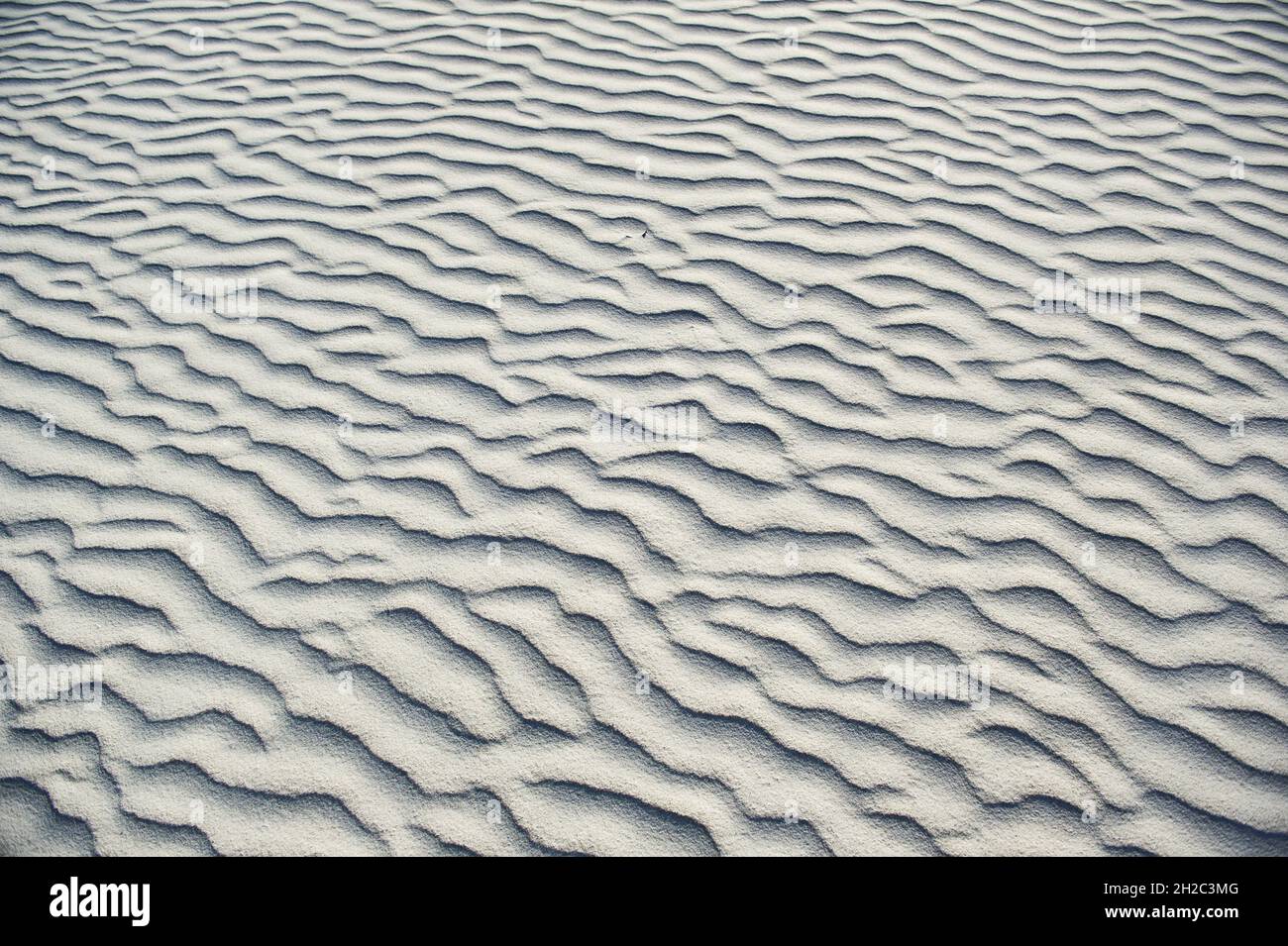 ripple marks on a dune in Nambung National Park, Australia, Western ...