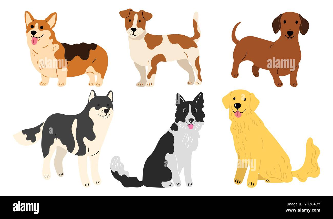 Illustrated cute dogs breed in flat design style Stock Vector Image ...