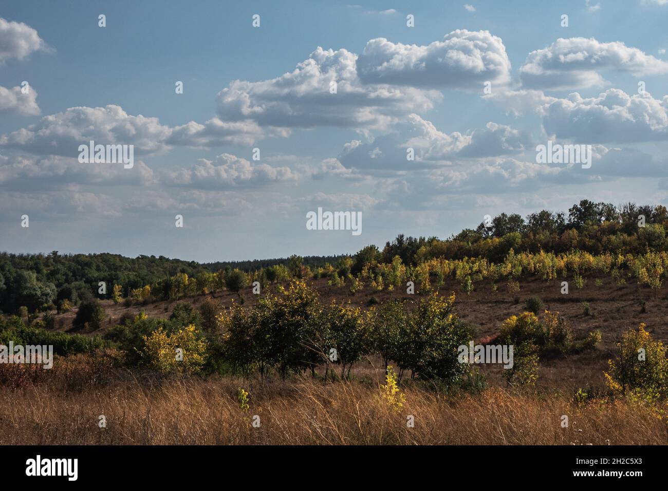 Countryside landscape in the early autumn. Beautiful view on the ...