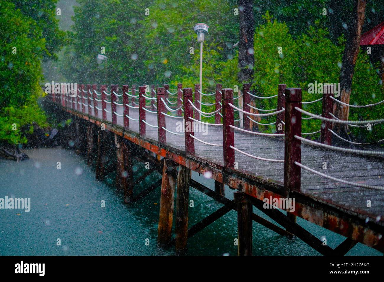 Tepid rain hi-res stock photography and images - Alamy