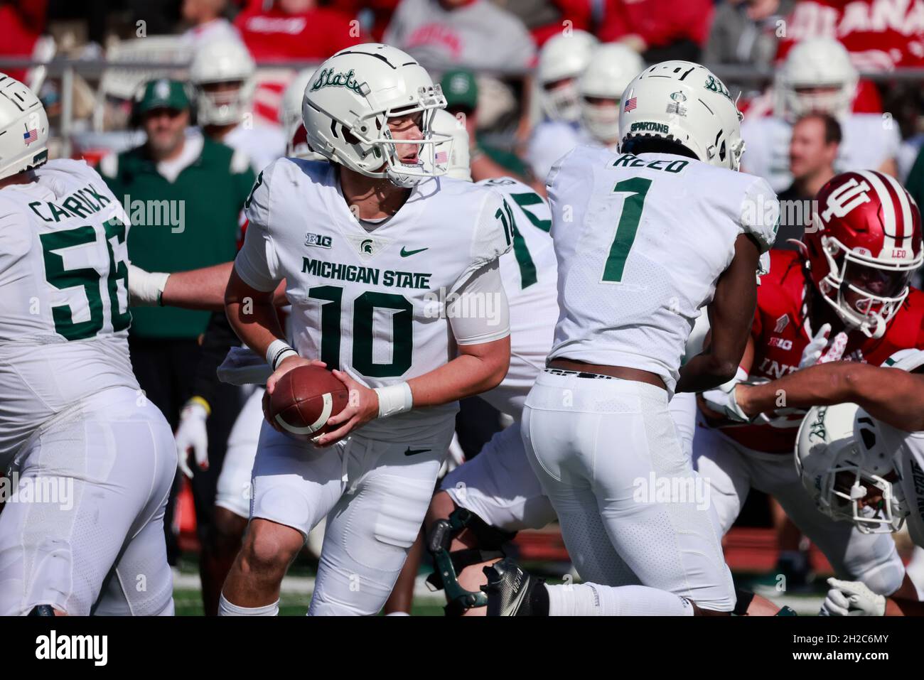 Payton thorne hi-res stock photography and images - Alamy