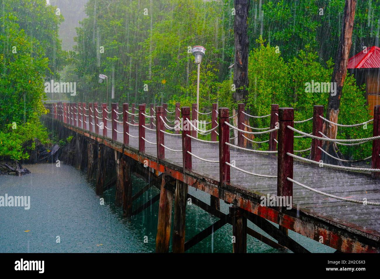 Rain freeze hi-res stock photography and images - Alamy