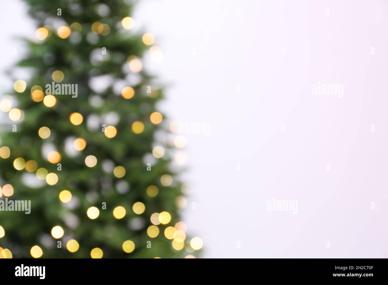 Blurred Christmas Tree Background
