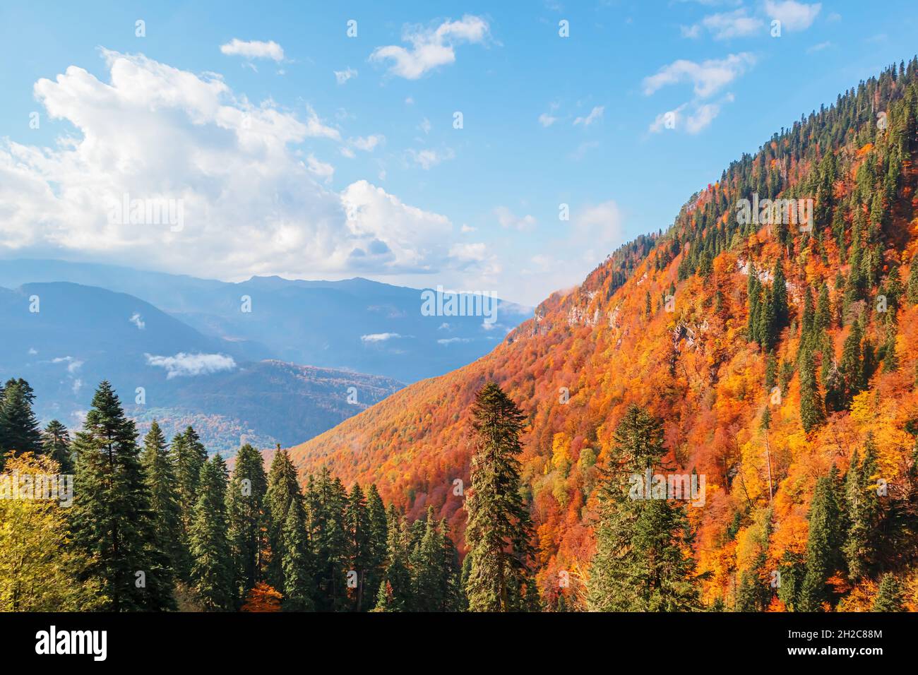 Beautiful autumn mountain landscape. Top view of colorful trees in the ...