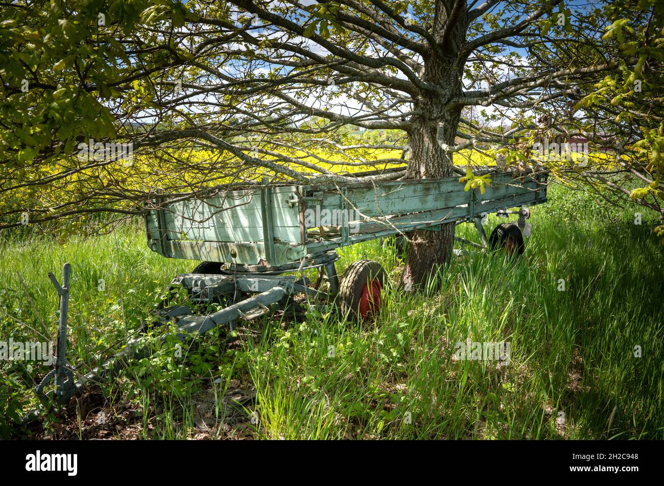 Old forgotten trailer in the nature Stock Photo - Alamy
