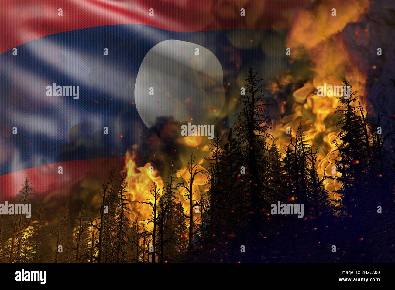 Forest fire natural disaster concept - infernal fire in the woods on ...