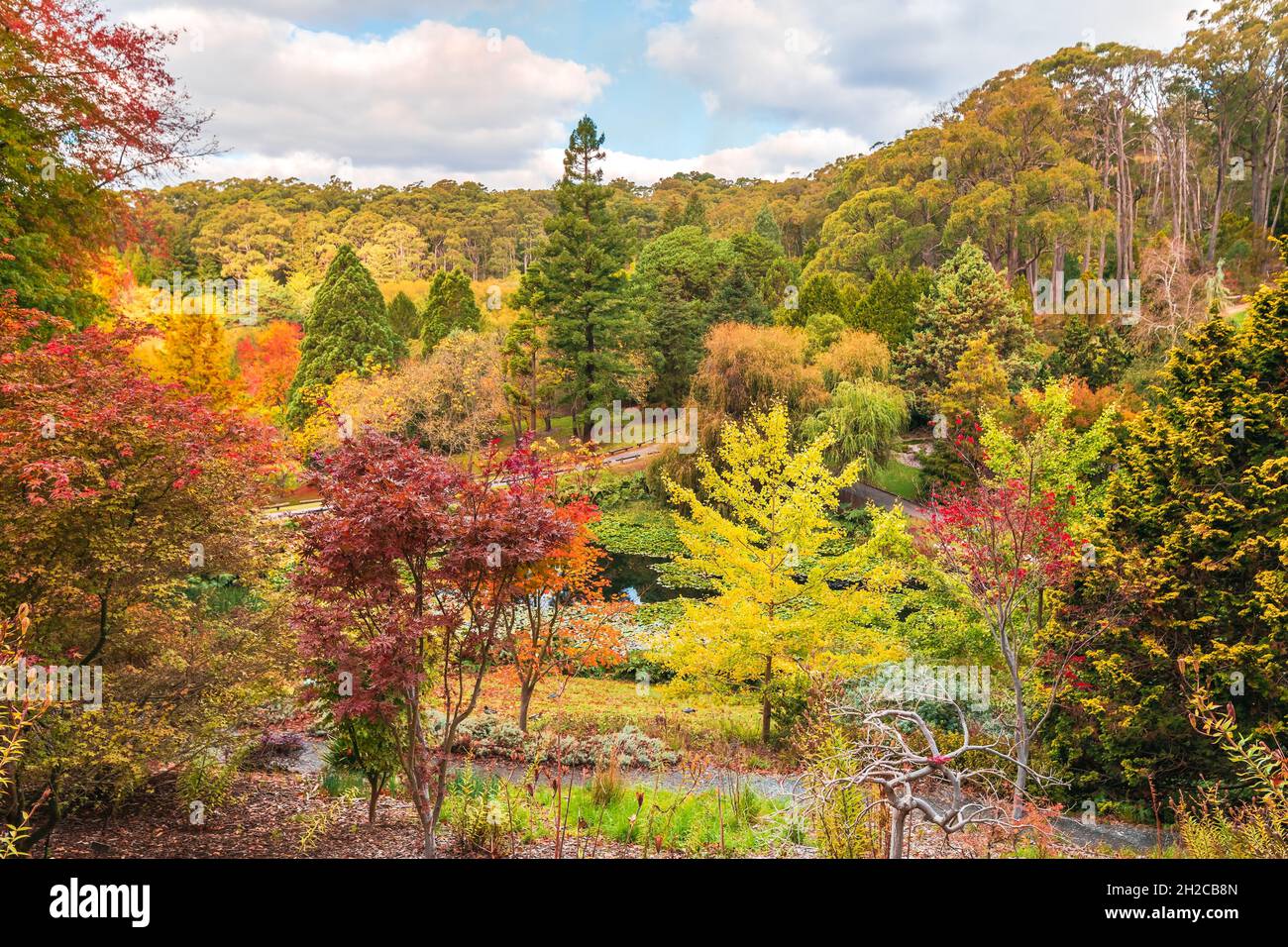 Mount Lofty autumn scene with colourful trees, South Australia Stock ...