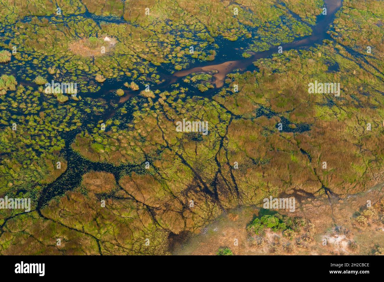 An aerial view of the Okavango Delta. Okavango Delta, Botswana Stock ...