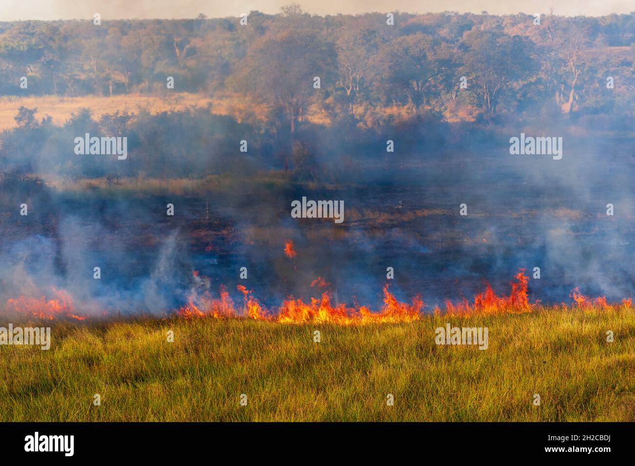 Aerial view of a bushfire in the Okavango Delta. Okavango Delta ...
