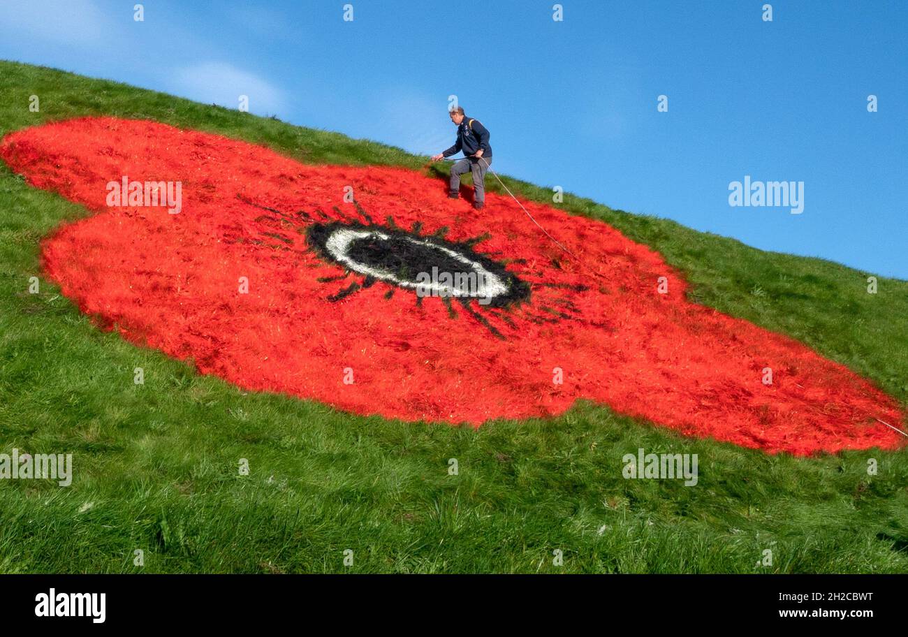 Giant poppies are painted onto the grass pyramids alongside the M8 ...