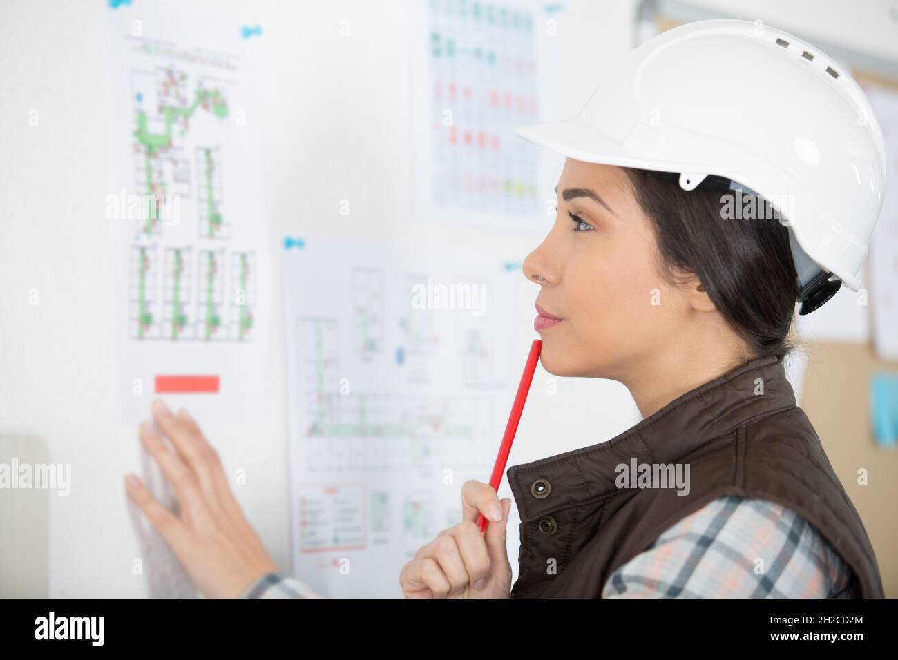 construction worker reading the wall plan Stock Photo - Alamy