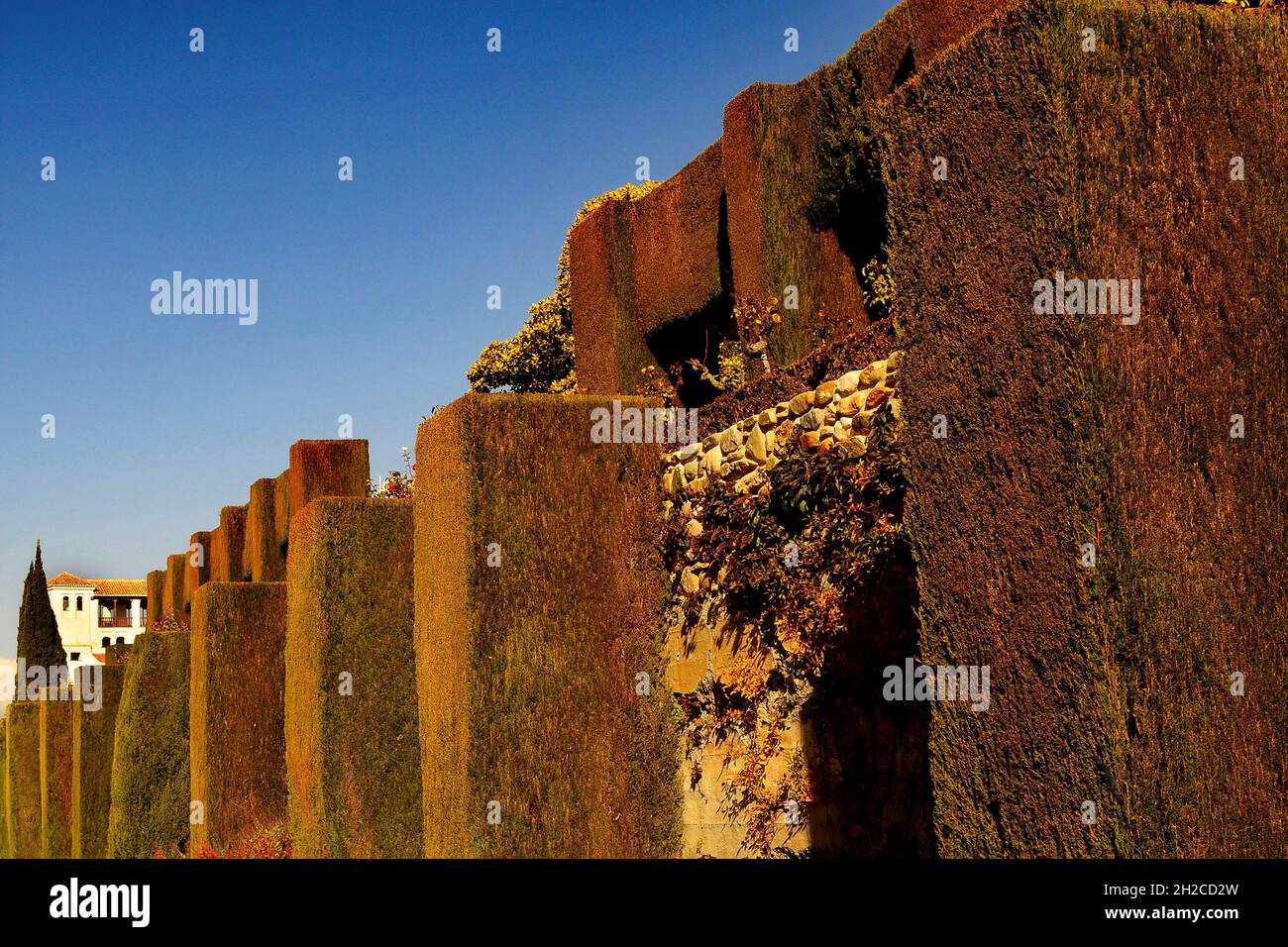 The Alhambra of Granada. Nazari monumental complex Stock Photo - Alamy