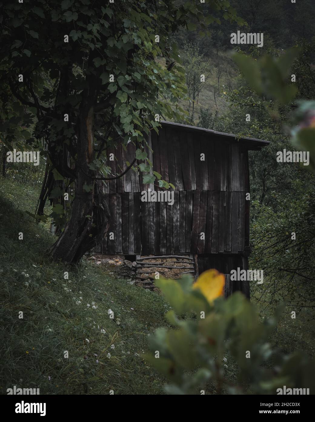 Vertical shot of a countryside, wooden house surrounded by hills and ...