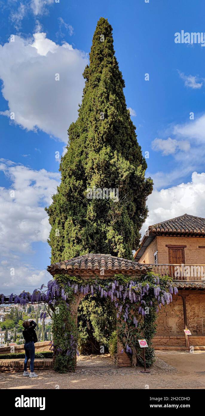 Arabic fortress nazari castle hi-res stock photography and images - Alamy