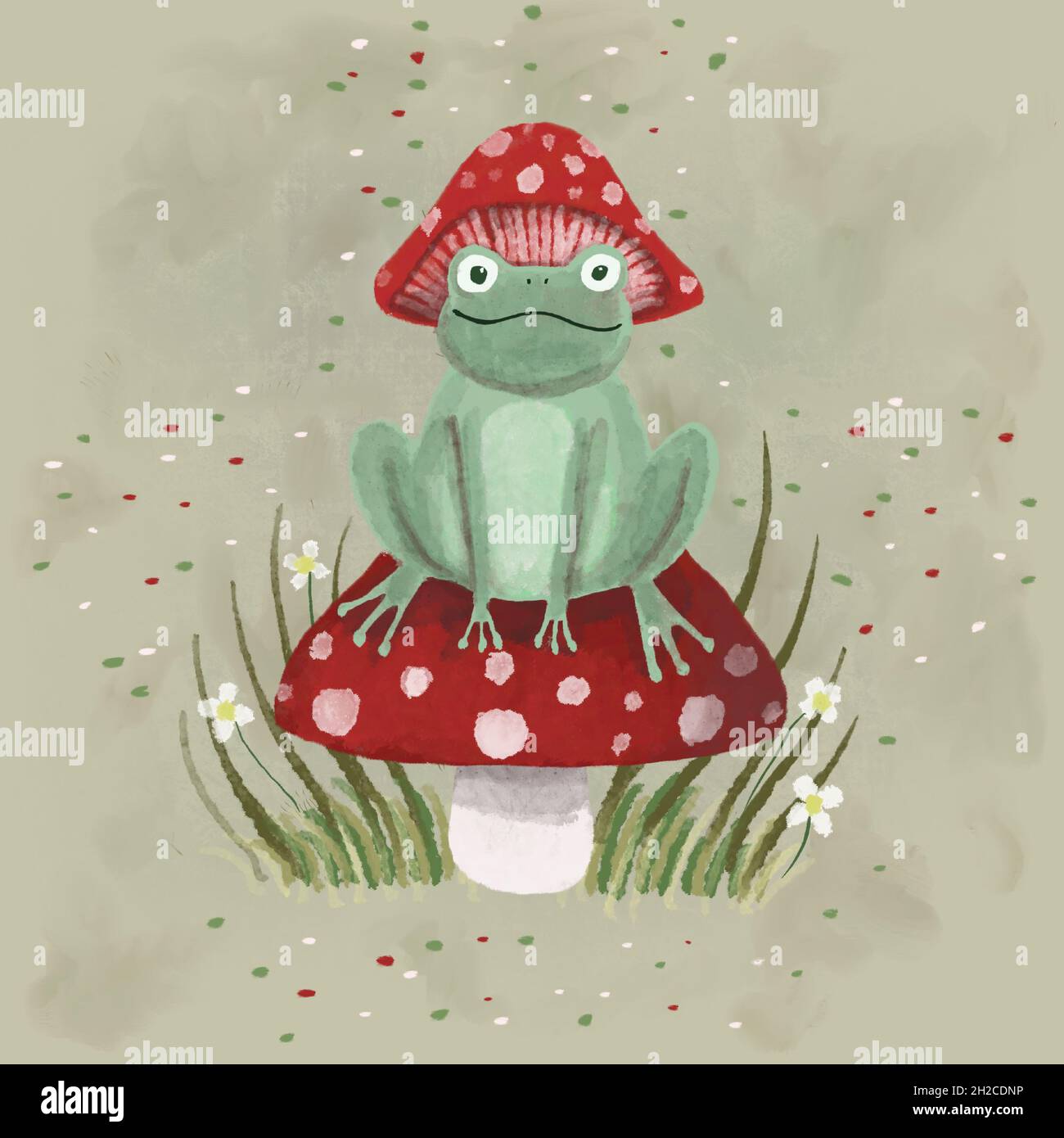 Toadstool frog hi-res stock photography and images - Alamy