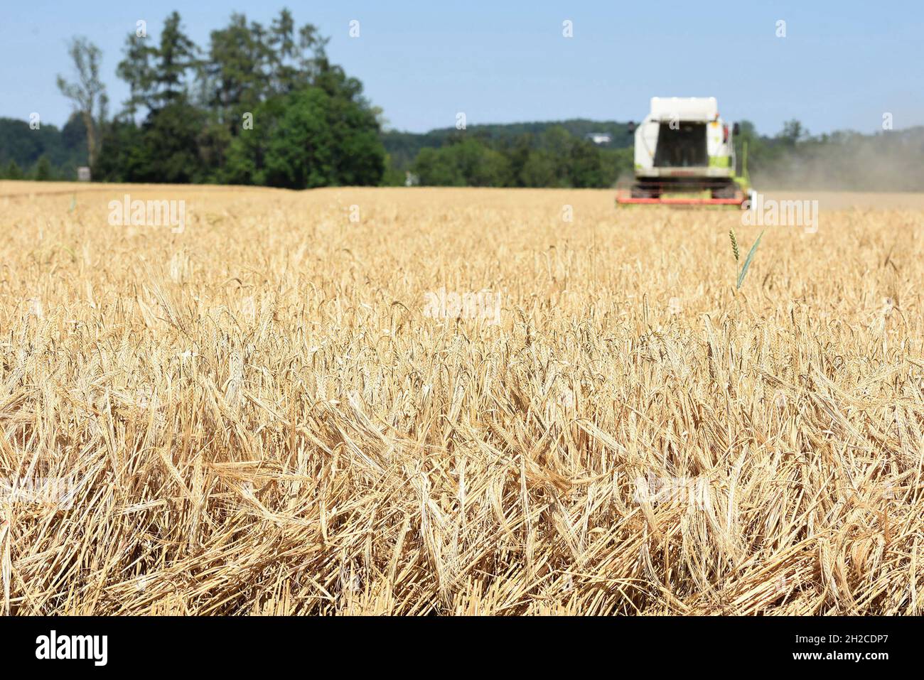 Landwirt winter arbeit hi-res stock photography and images - Alamy