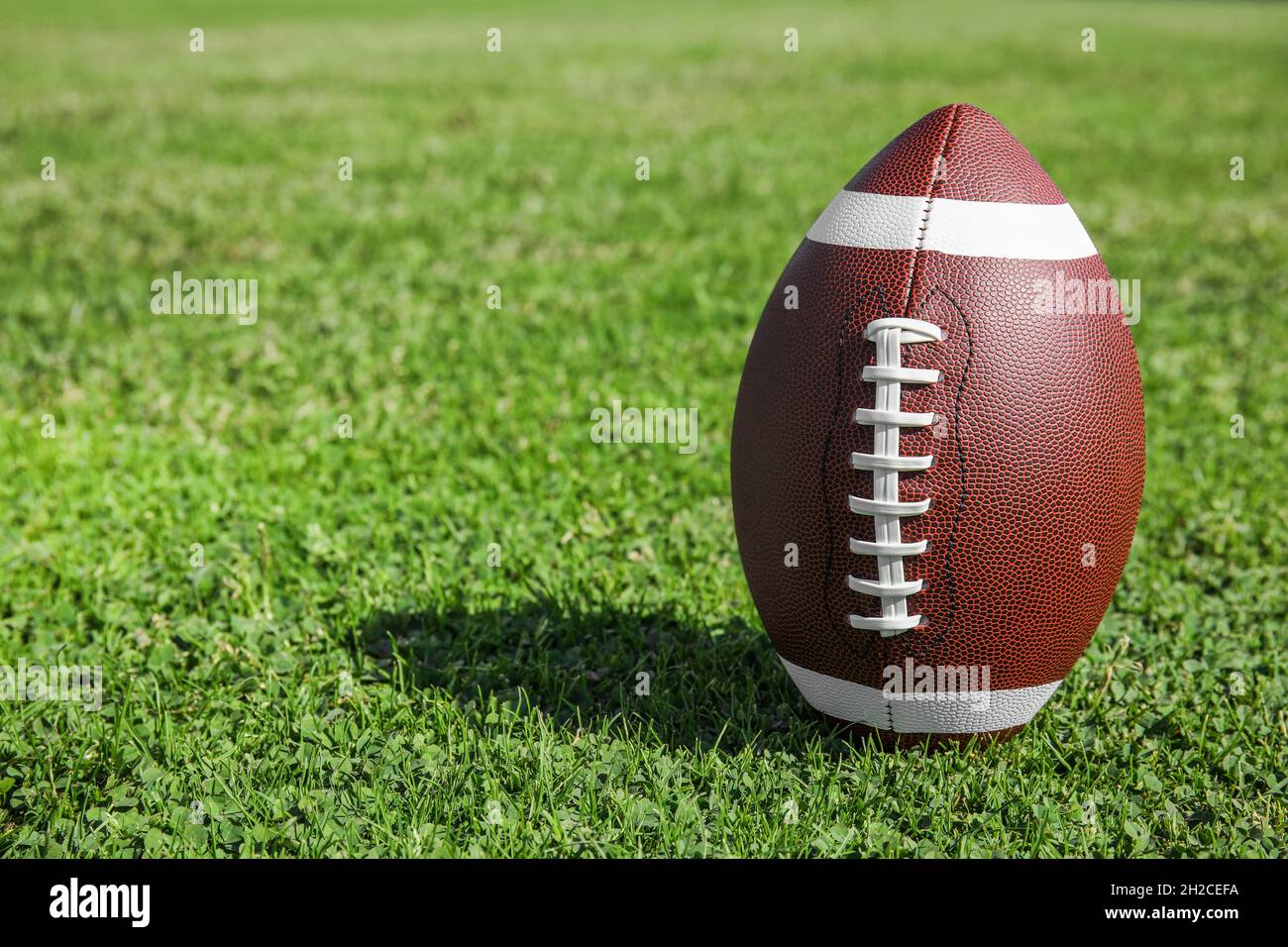 Nfl Football Ball On Grass
