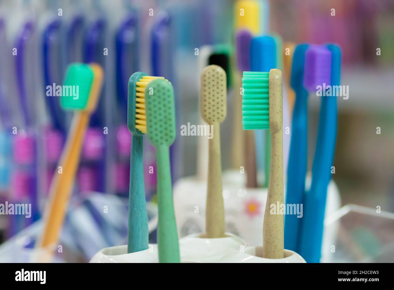 Dental oral care kit - multicolor toothbrushes at medical exhibition ...
