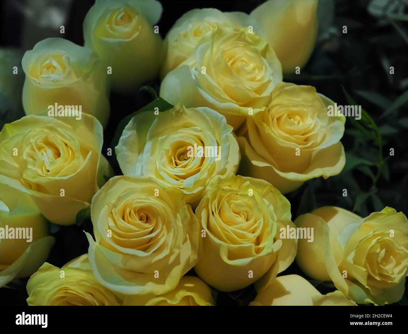 Beautiful bouquet of yellow roses Stock Photo - Alamy