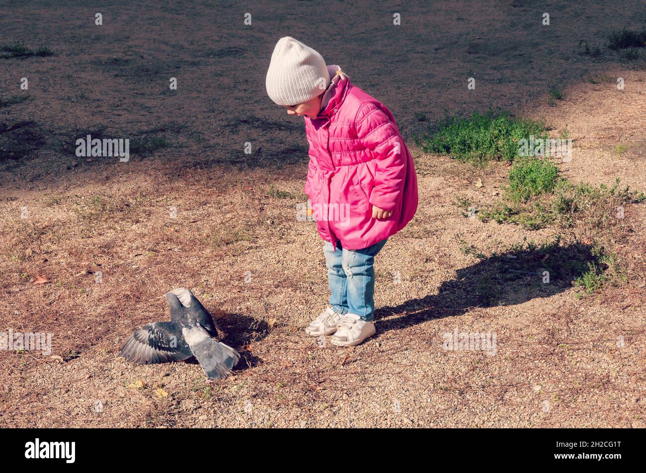 Scaring pigeons hi-res stock photography and images - Alamy