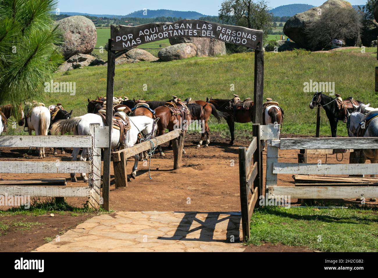 Big ranch with horses in Tapalpa, Jalisco, Mexico Stock Photo - Alamy