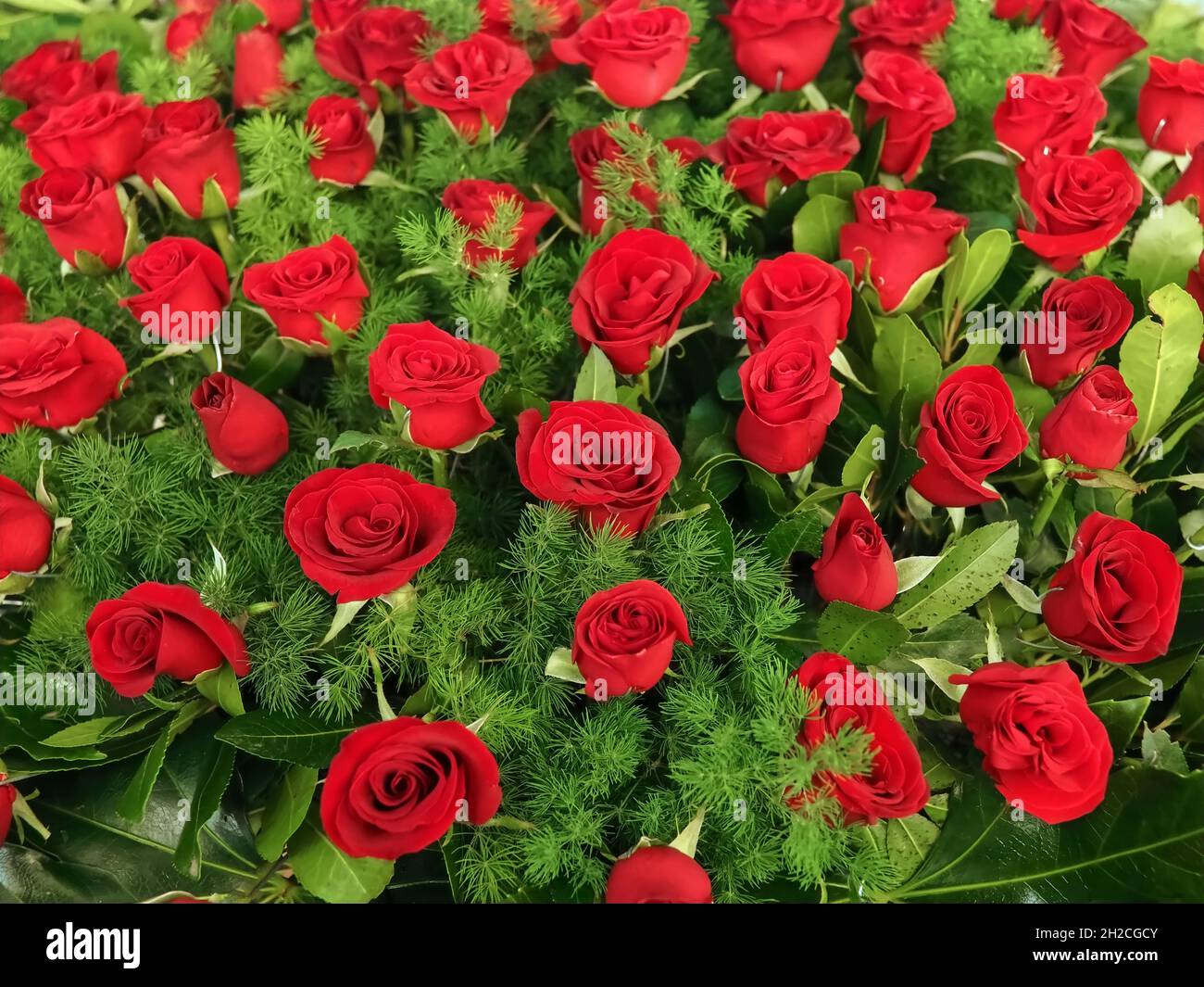 Big Beautiful bouquet of red roses Stock Photo - Alamy