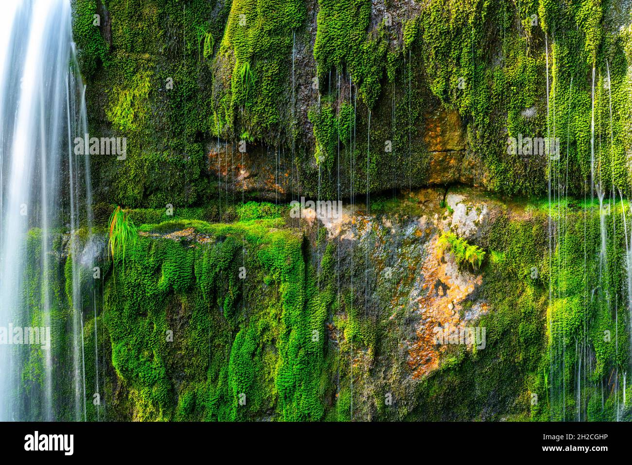 Wild Forest Waterfall with mossy granite rock Stock Photo - Alamy