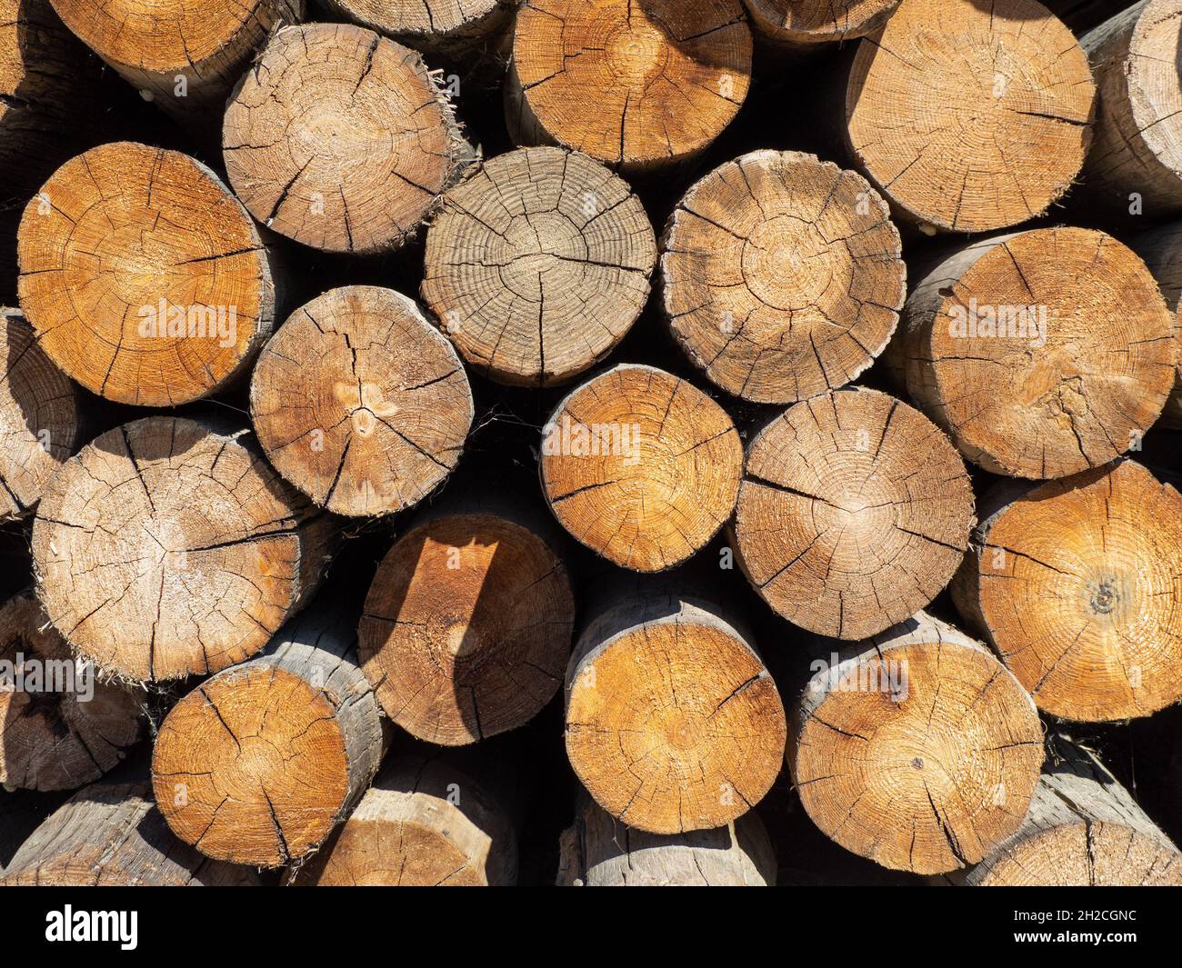 Stacked natural sawn wooden logs background Stock Photo - Alamy