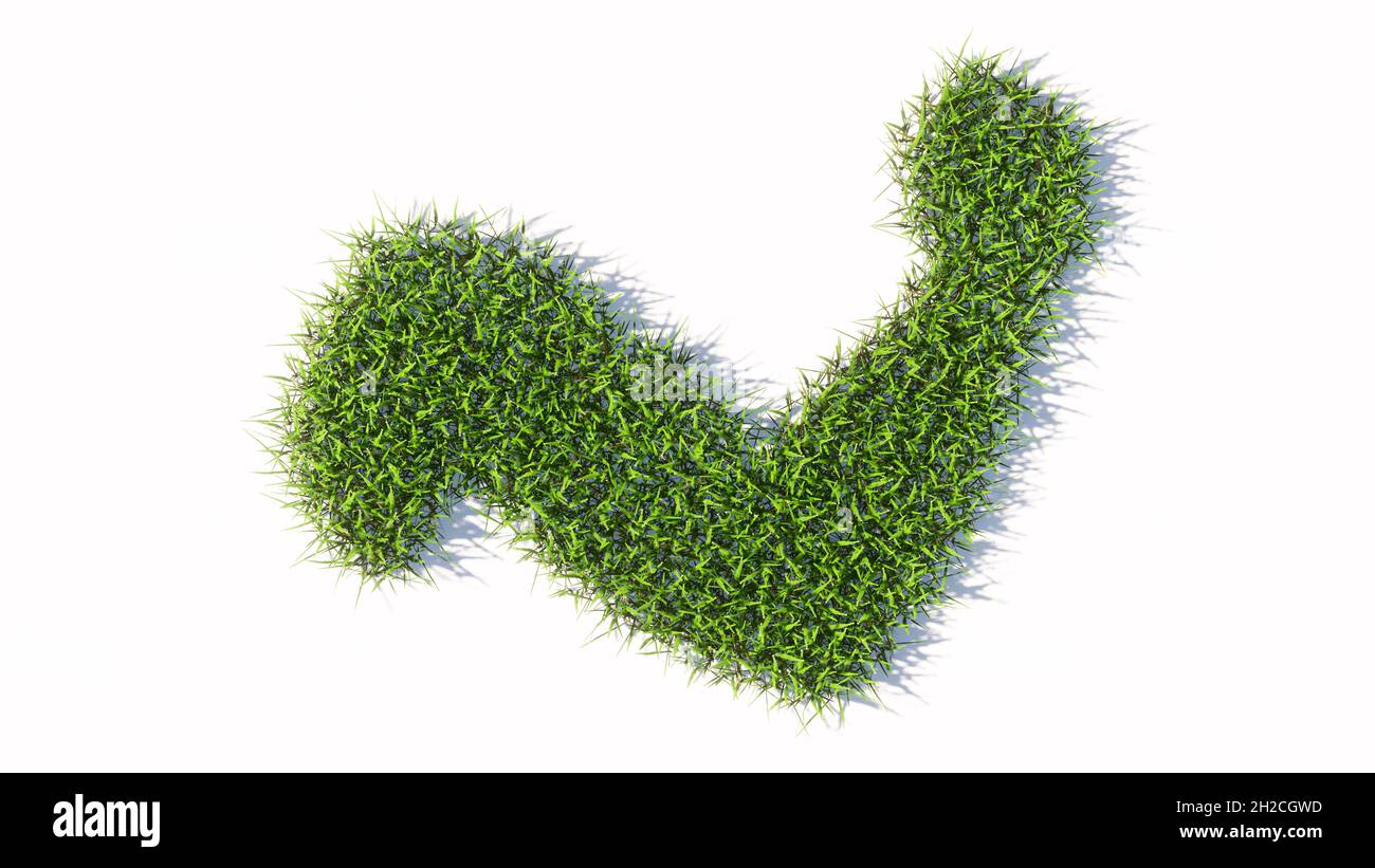 Anatomy of forearm hi-res stock photography and images - Alamy