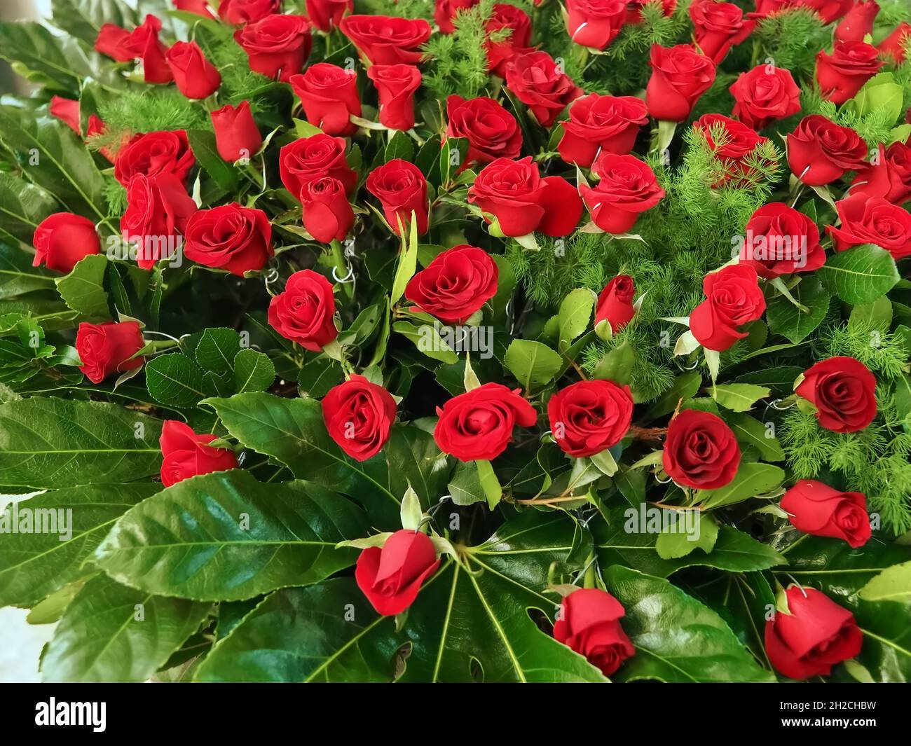 Big Beautiful bouquet of red roses Stock Photo - Alamy