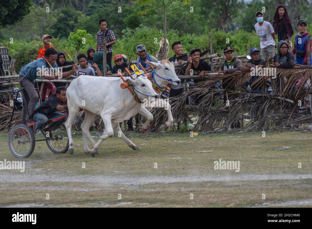 Sigi, Central Sulawesi, Indonesia. 21st Oct, 2021. The community held a ...