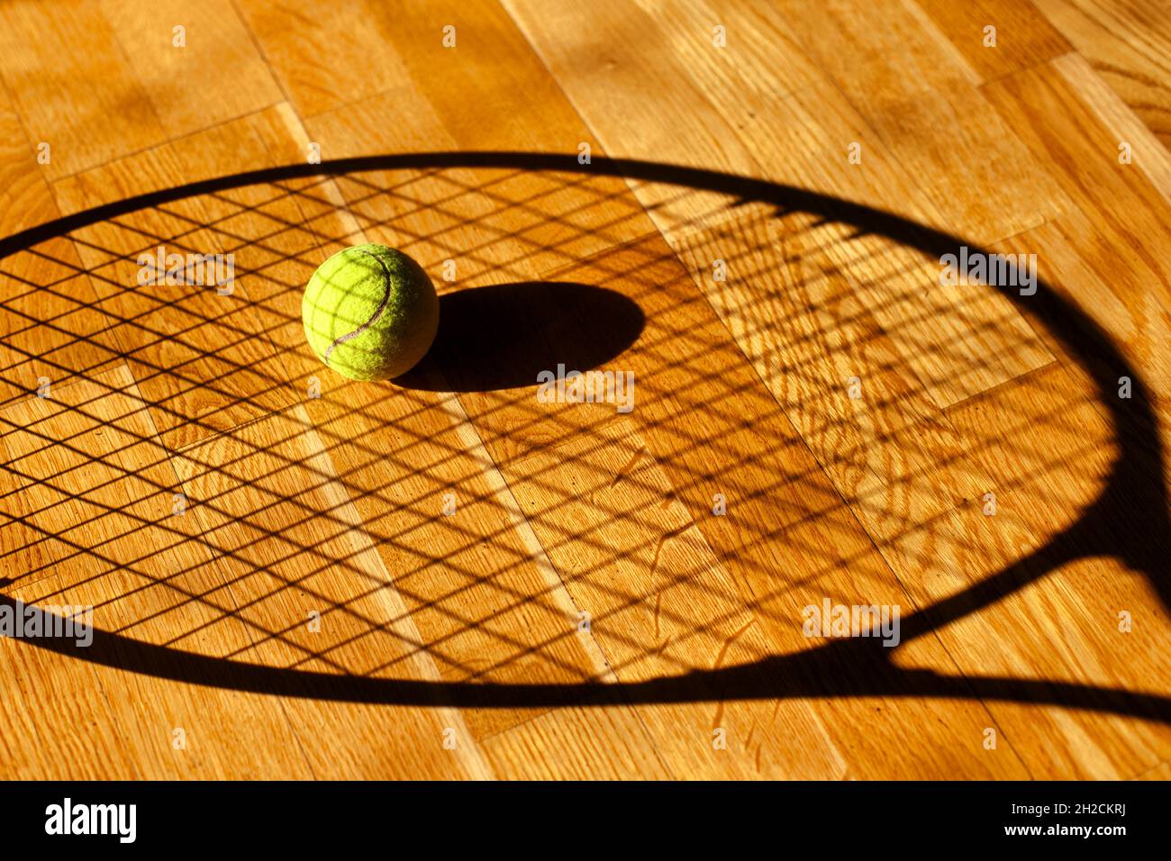 The sight of a tennis ball and the shadow on the floor from a tennis ...