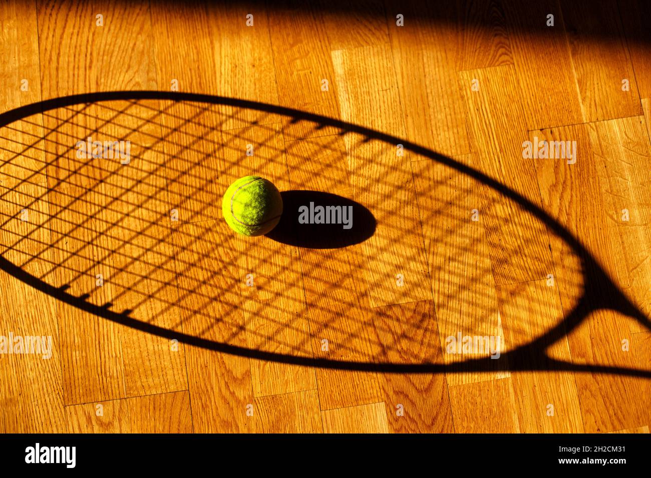 The sight of a tennis ball and the shadow on the floor from a tennis ...