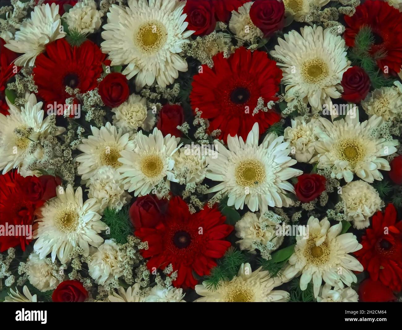 Big Beautiful bouquet of red roses Stock Photo - Alamy