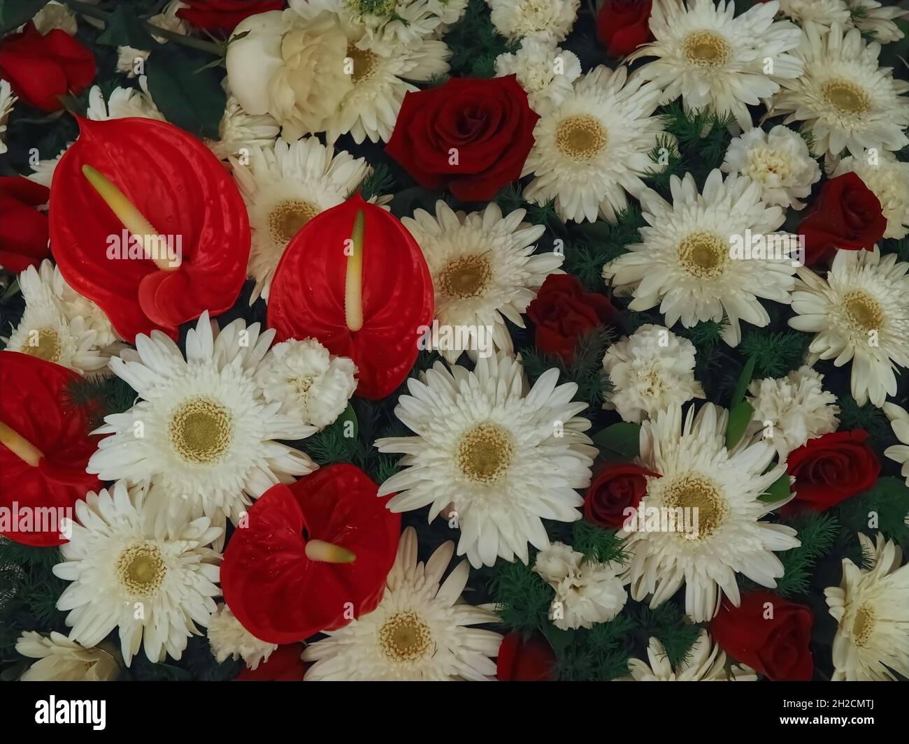 Big Beautiful bouquet of red roses Stock Photo - Alamy