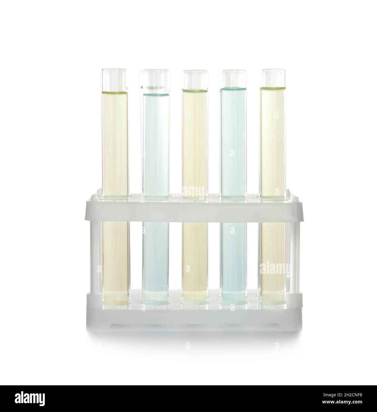 Holder with test tubes on white background. Laboratory analysis Stock ...