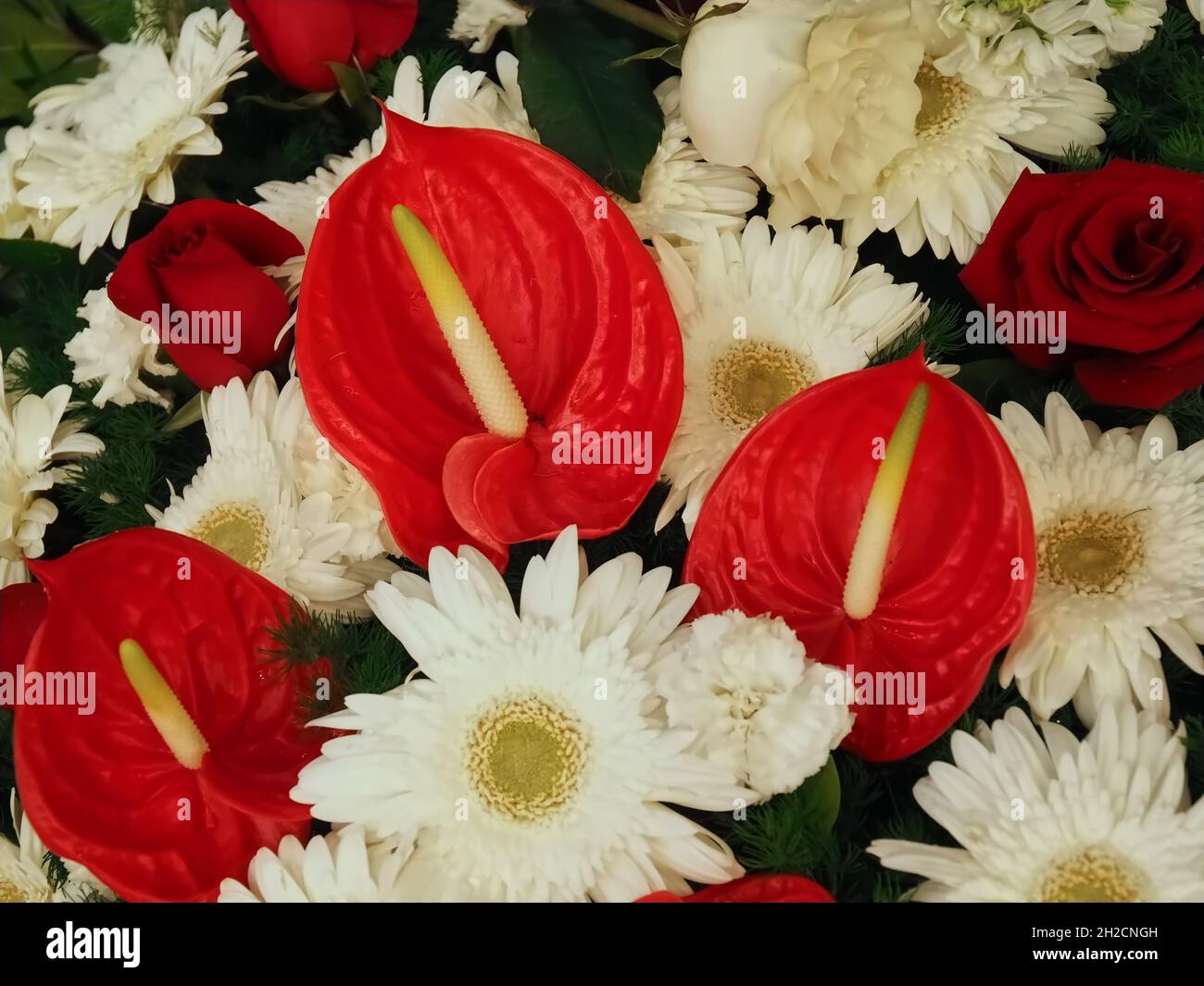 Big Beautiful bouquet of red roses Stock Photo - Alamy