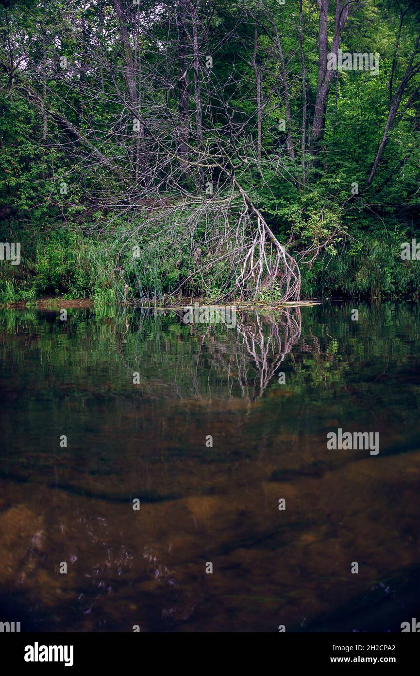 Minija river hi-res stock photography and images - Alamy