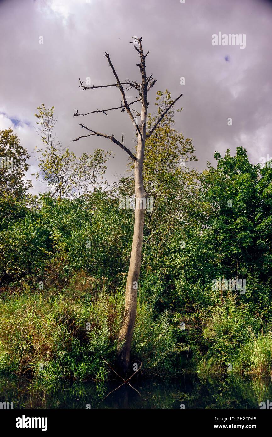 Minija river hi-res stock photography and images - Alamy