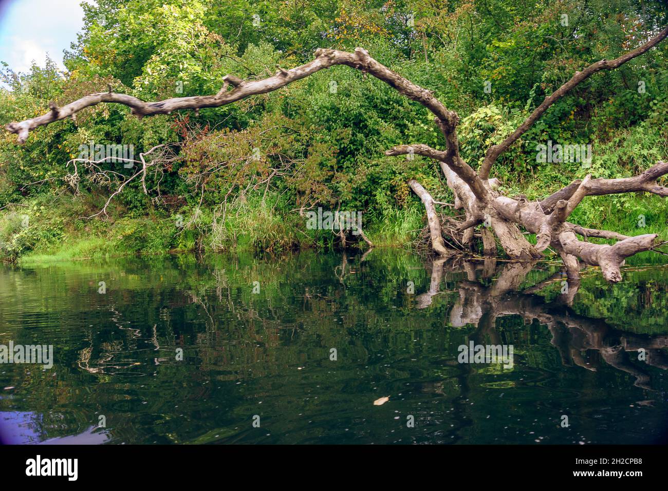 Minija river hi-res stock photography and images - Alamy