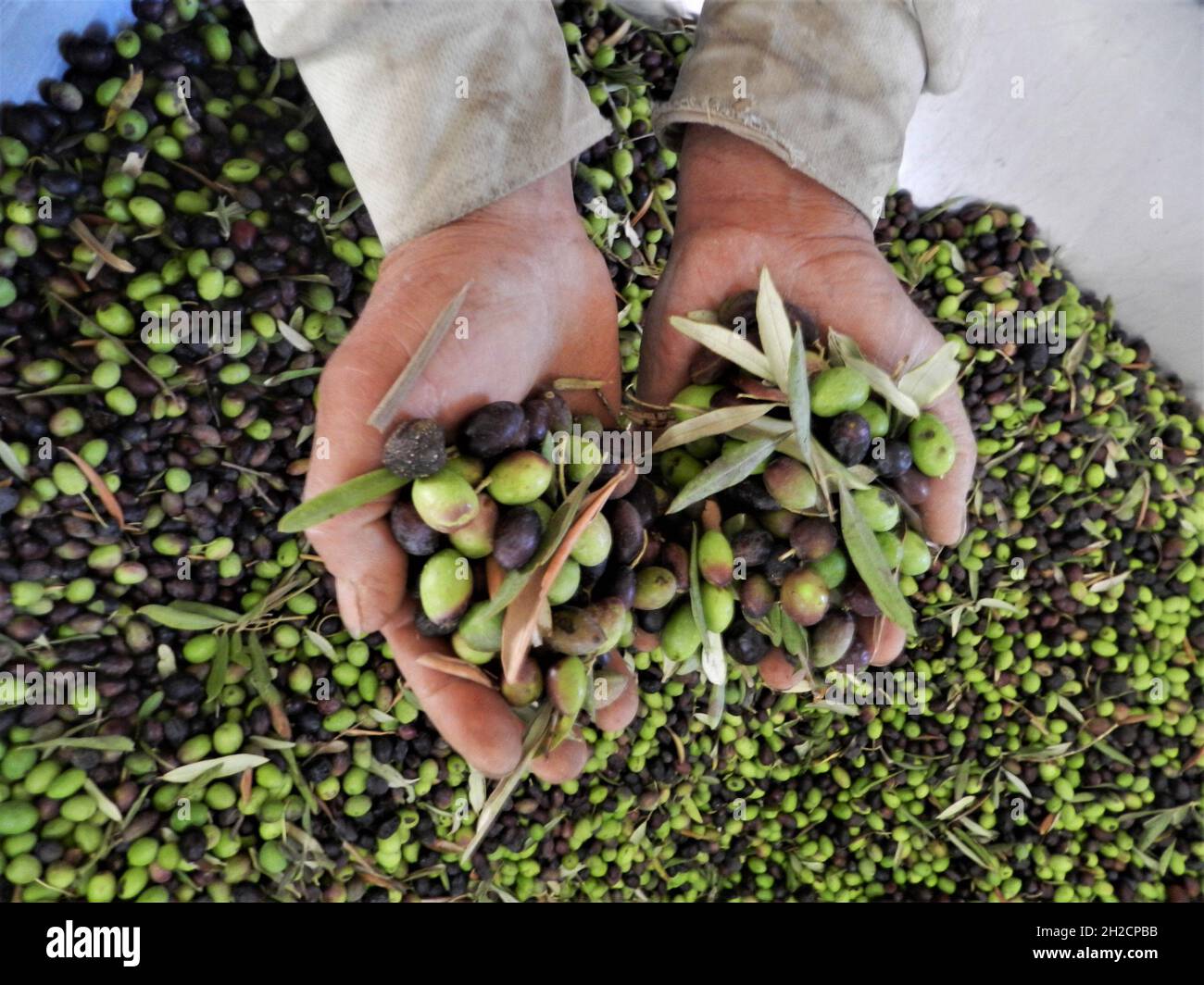 Season 20 21 hi-res stock photography and images - Alamy