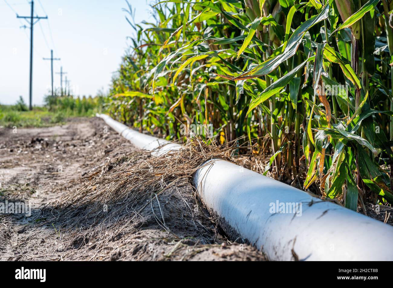 Furrow irrigation hi-res stock photography and images - Alamy