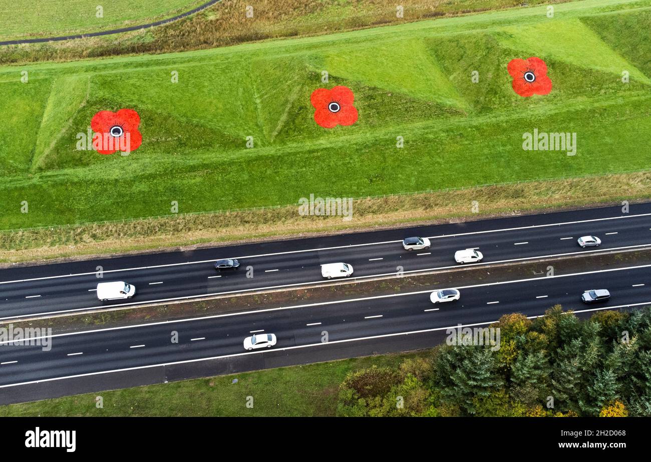 Giant poppies have been painted onto the grass pyramids alongside the ...