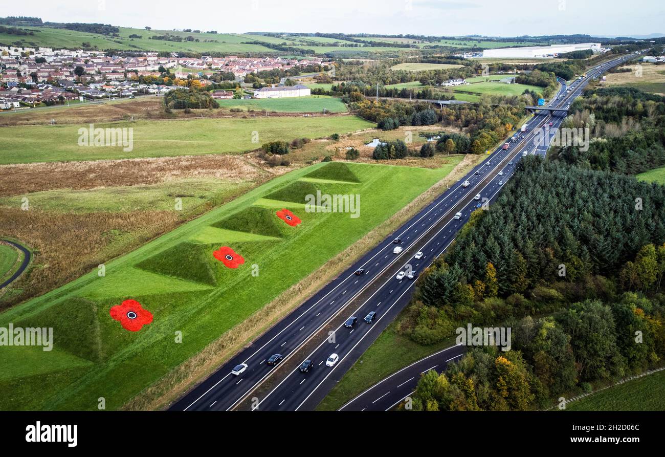 Giant poppies have been painted onto the grass pyramids alongside the ...