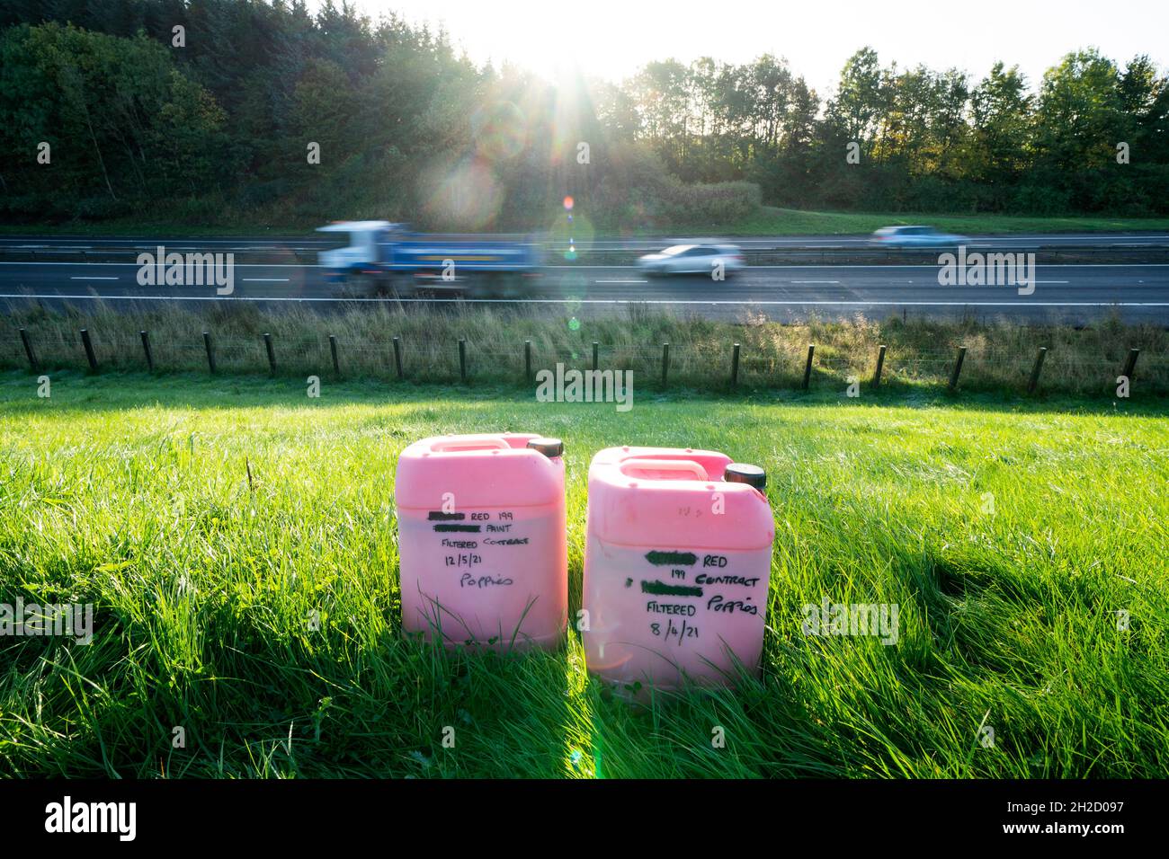 Red paint to be used to paint giant poppies onto the grass pyramids ...