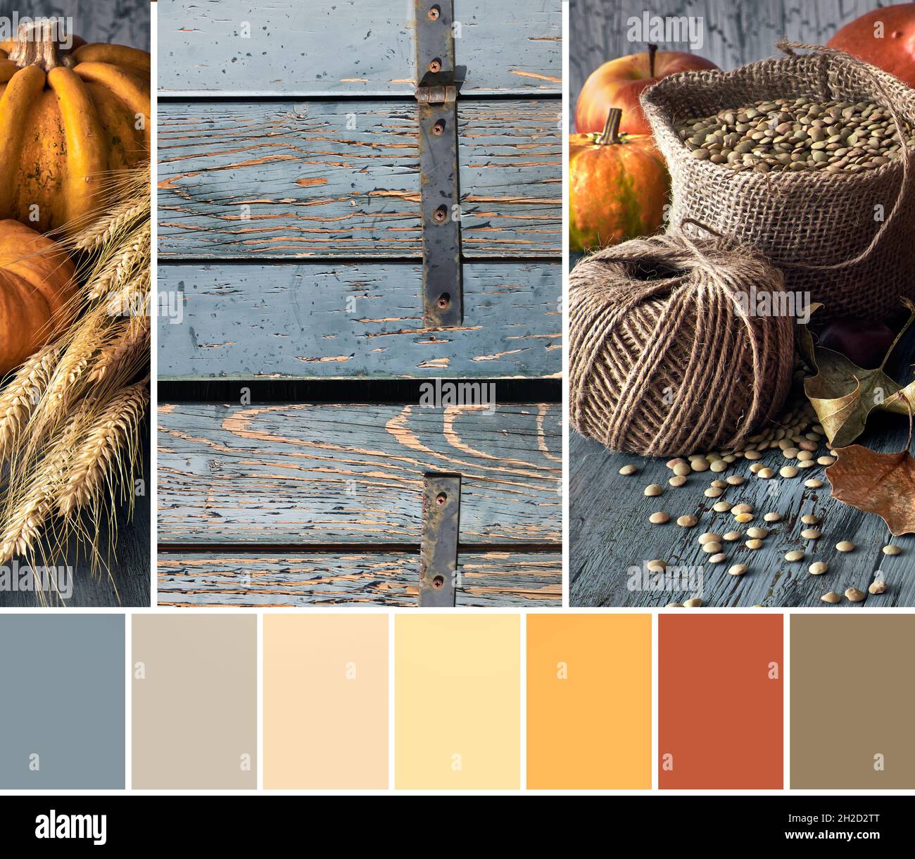 Autumn color matching palette. Orange, red, grey, beige color swatches ...