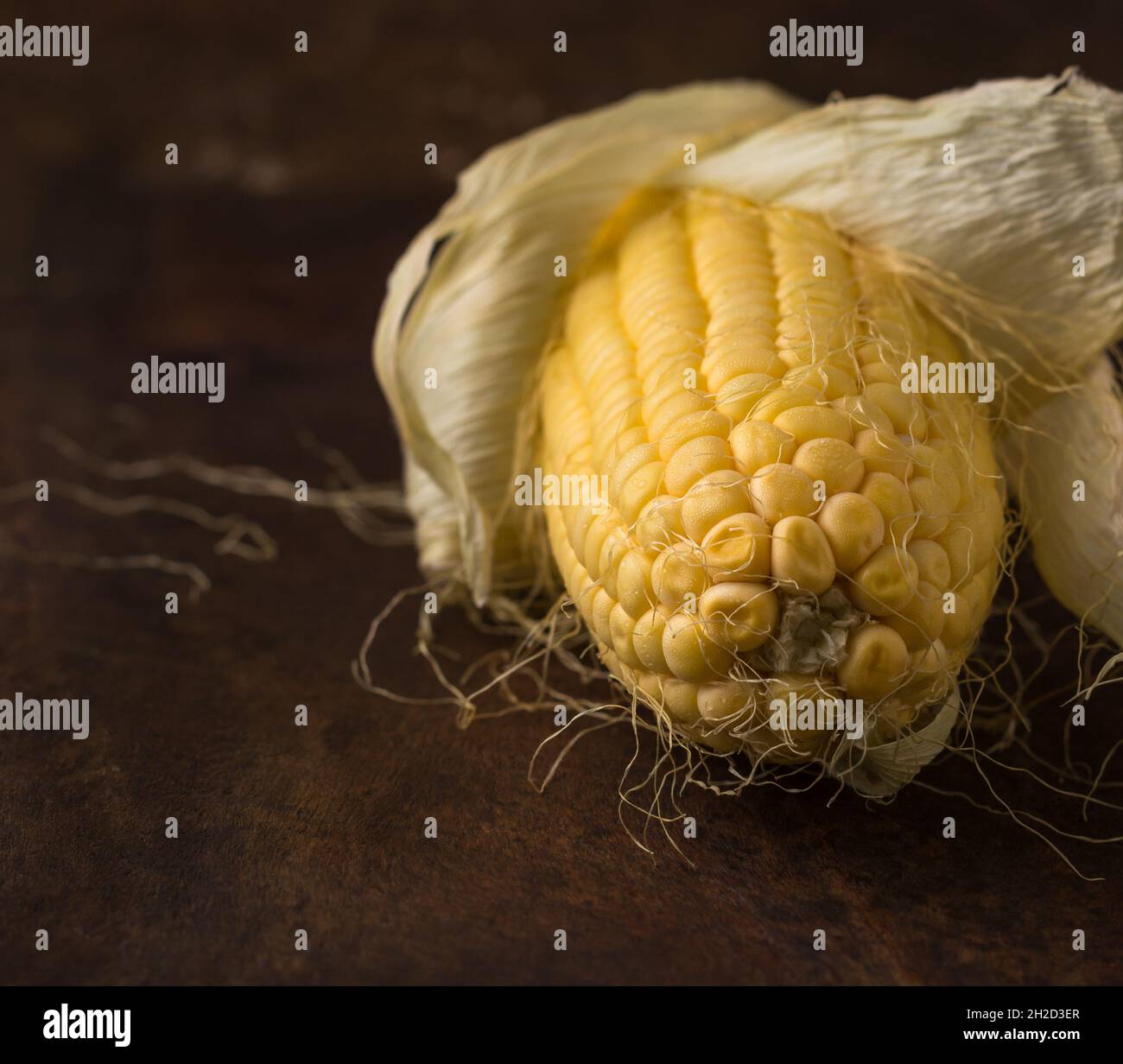 Maize Corn Texture Field Background High Resolution Stock Photography ...