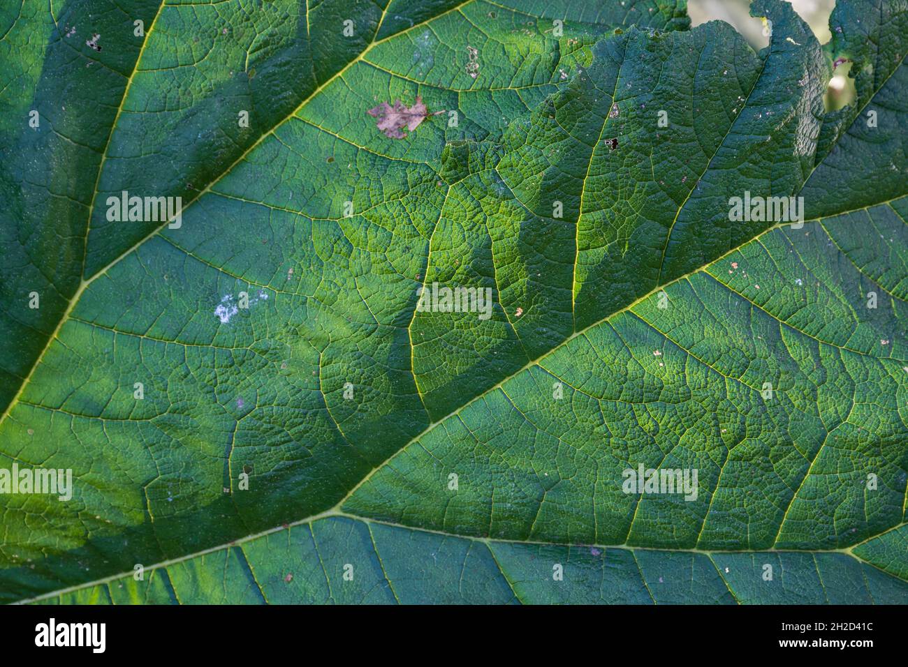 Leckford estate john lewis hi-res stock photography and images - Alamy