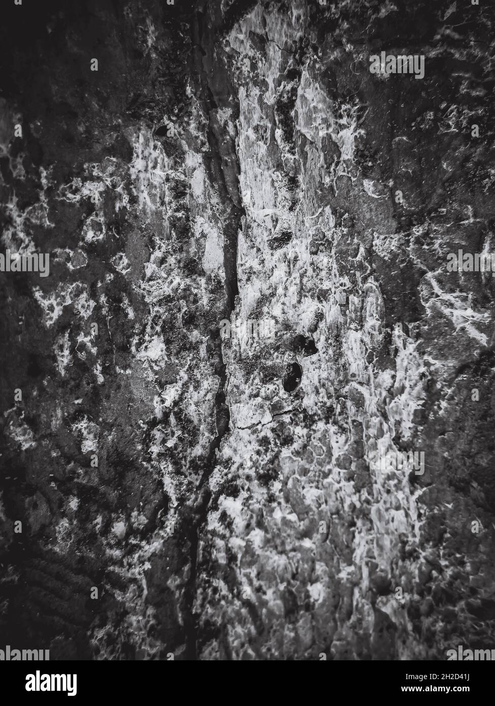 Heavy wood timber structure hi-res stock photography and images - Alamy