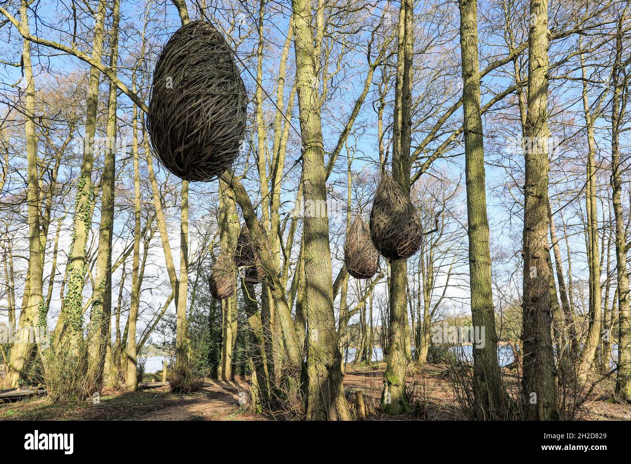 Wicker birds nests sculpture hi-res stock photography and images - Alamy